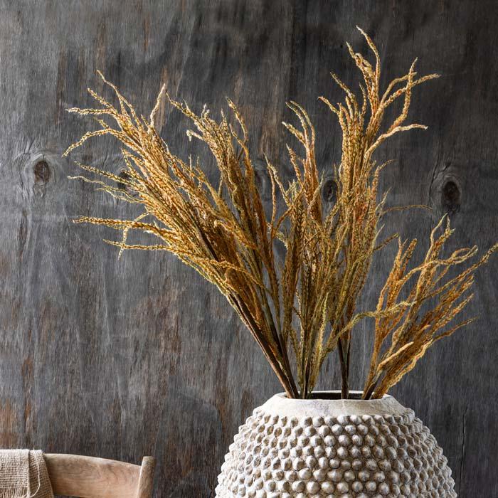 Marsh Reed – Voila!